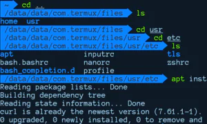 How To Customize Termux, Make Termux Terminal Look Awesome - ANCII ...